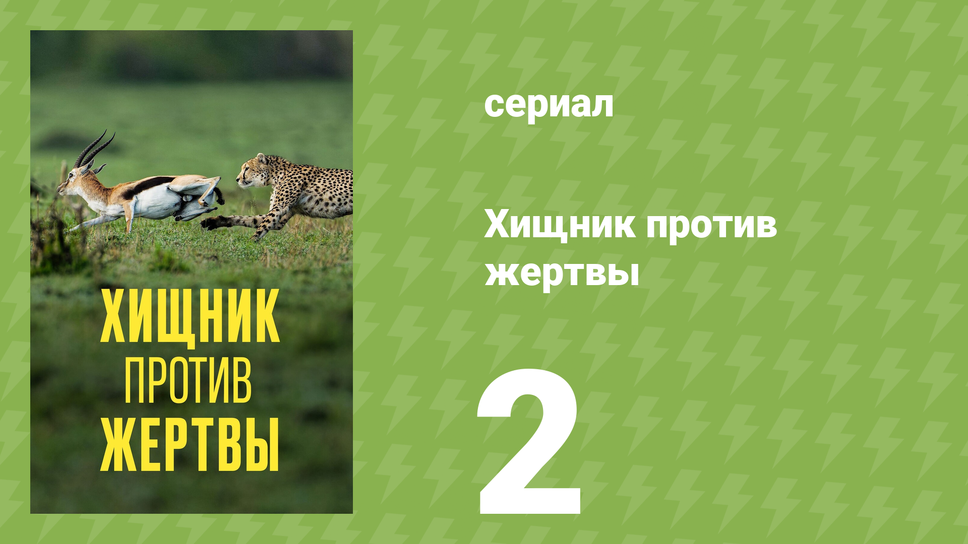 Хищник против жертвы 1 сезон 2 серия «Гепард» (документальный сериал, 2024)