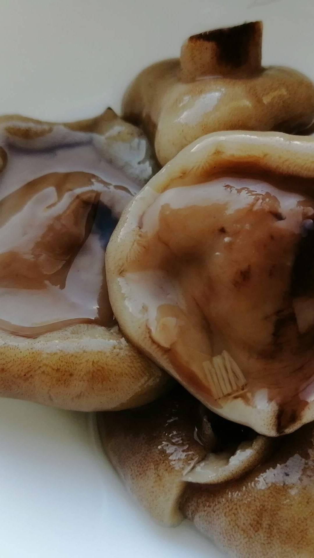 Как приготовить грибы маслята