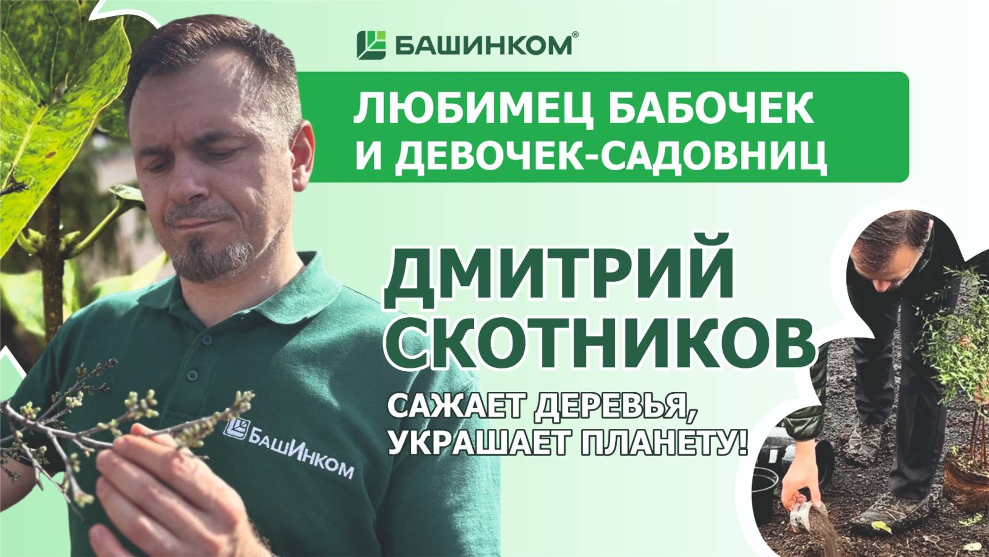 Деревья, высаженные с биопрепаратами, прекрасно приживаются. Смотри!