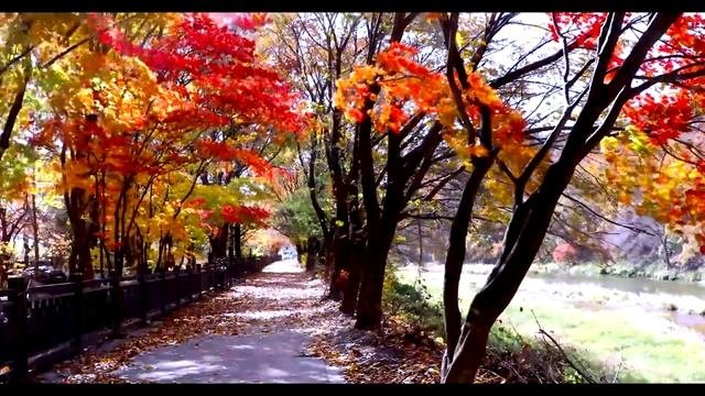 @grishchuksergey,, ПРОКАЗНИЦА ОСЕНЬ Музыка Сергей Грищук