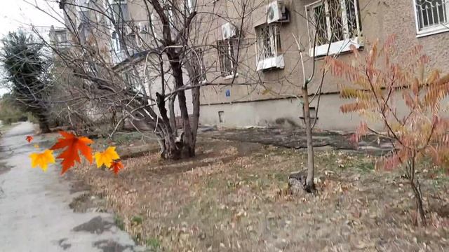 Маршрут не от большого ума