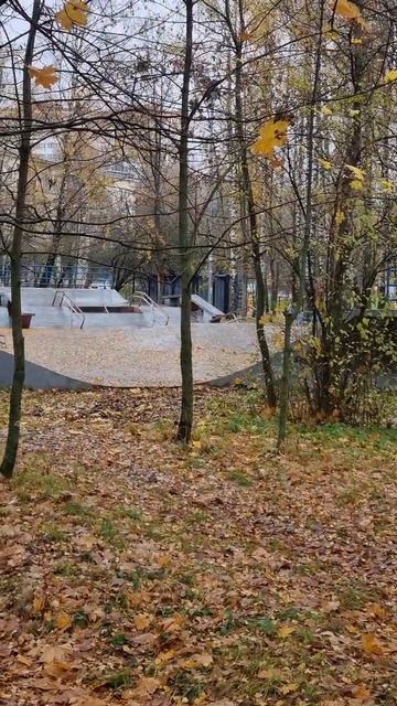 Скейт-парк в парке им. Величко в Сходне