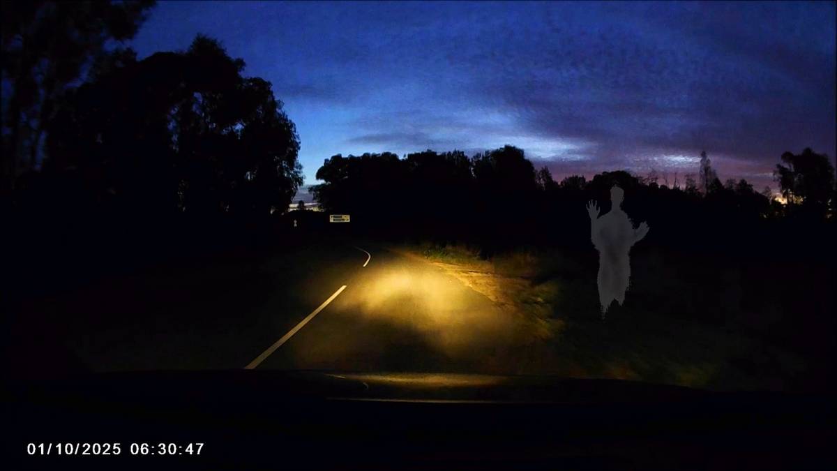 Романтичная утренняя дорога