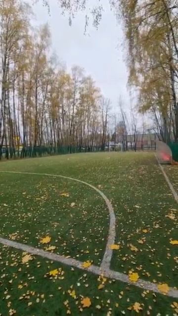 Футбольное поле в парке им. Величко в Сходне