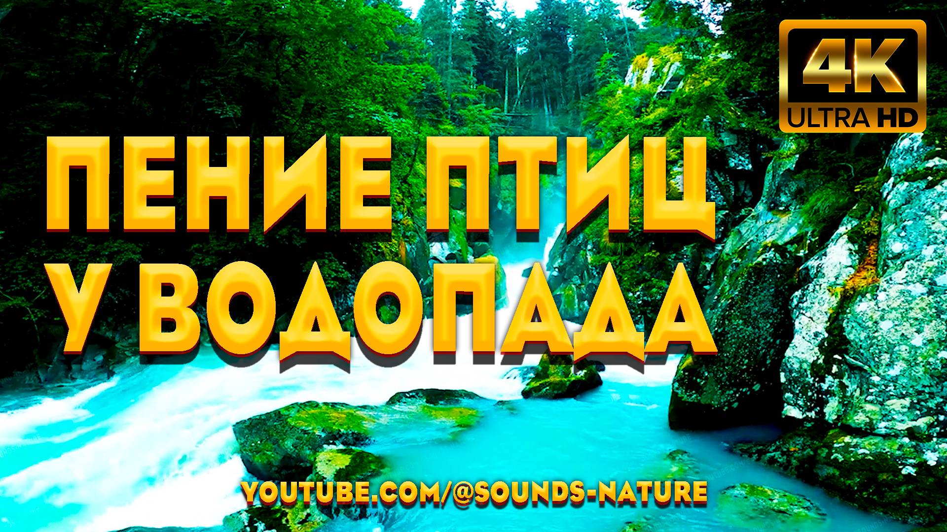 Пение Птиц У Лесного Водопада - Окунёт Вас В Чарующий Мир Природы И Хорошего Настроения.