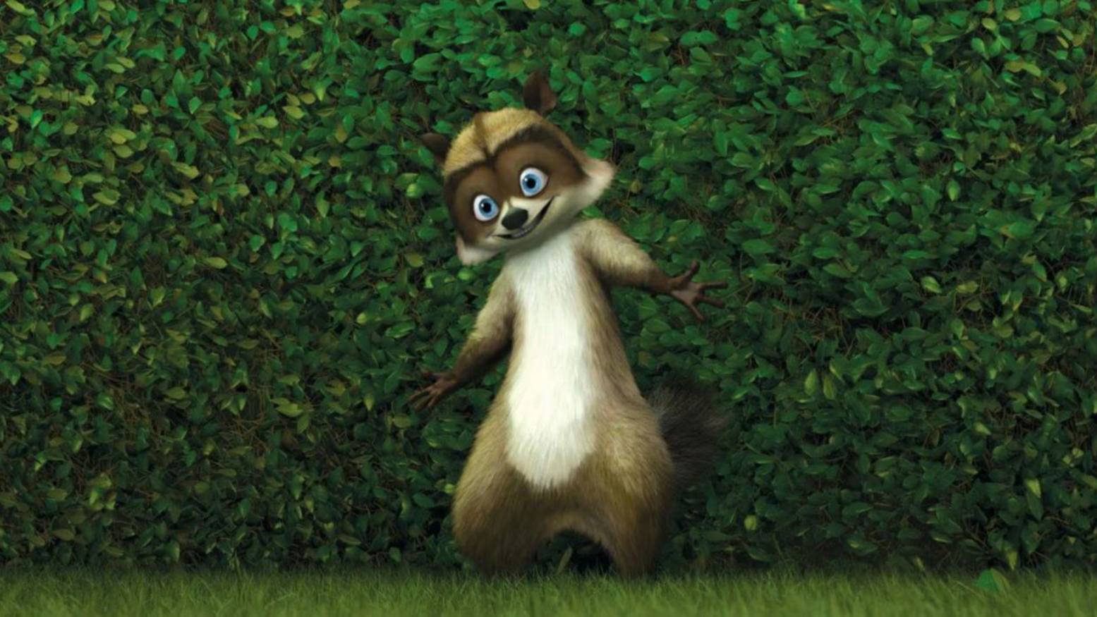 ЛЕСНАЯ БРАТВА ЕНОТ ЭРДЖЕЙ ЧЕРЕПАХА БЕЛКА ЛЕС НОВЫЕ КРУТЫЕ РАЗВИВАЮЩИЕ МУЛЬТИКИ ДЛЯ ДЕТЕЙ