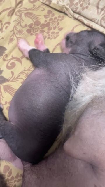 Сейчас поедим и спать