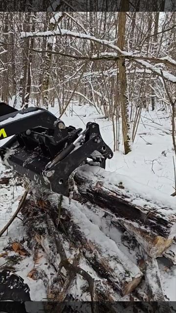 ЛЕСНЫЕ РАБОТЫ БРЕВНА, ДРОВА, ПОГРУЗКА, РАЗГРУЗКА, ПЕРЕВОЗКА, ЛЕС, ПИЛА, РАБОТЫ ПО ДЕРЕВУ