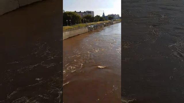 Это было 28 июня день Молодежи