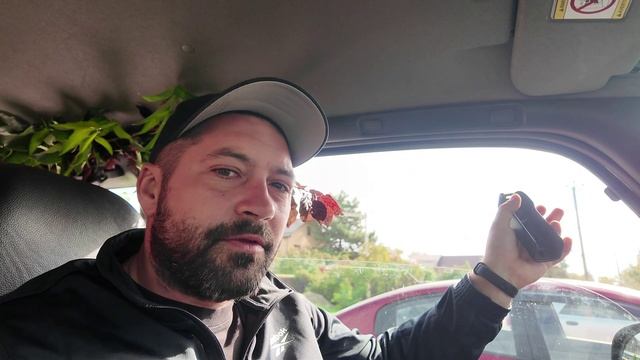 КУПИЛИ ДОМ НА ХУТОРЕ | СПИЛИЛИ ПАЛЬМУ | ПОСАДИЛИ ФИНИК