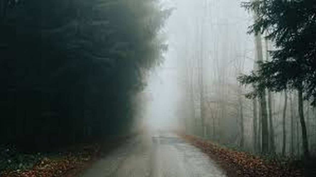 Сквозь туман в ад. Слушать жуткую историю.