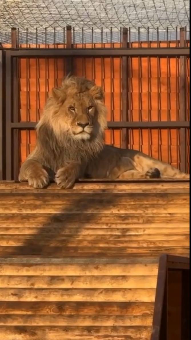 Царь на троне.