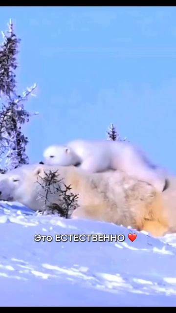 Ребенок постоянно на руках