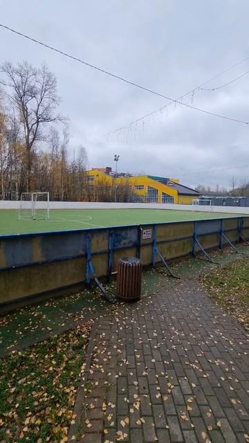 В парке им. Величко в Сходне зимой можно покататься на льду или поиграть в хоккей