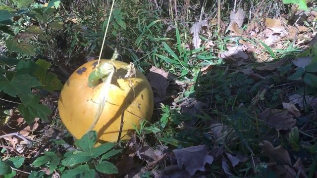 Обалдела 😂😂😂( из архива)