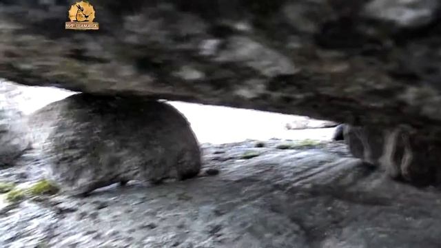 Гора Воттоваара сейды Карелия Мир Шамана