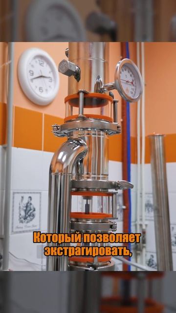 🤩Набор "Практик" на сайте doctorguber.ru