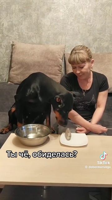 милота, собака заботится о хозяйке.
человек собаке друг 
настоящий друг