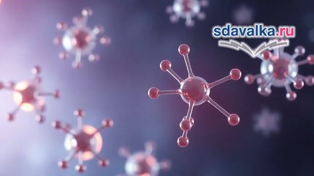 Биология 10 класс. Урок 4. Обмен веществ и энергии. Бесплатная подготовка к ЕГЭ. Sdavalka.RU