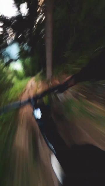 Дикий спуск