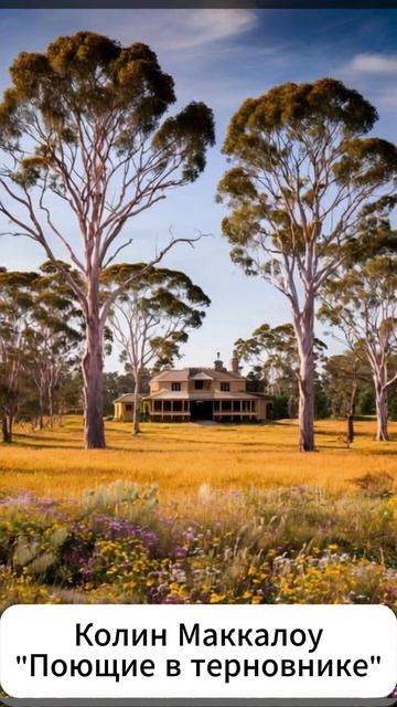 Часть 3. Как нейросеть видит названия книг.