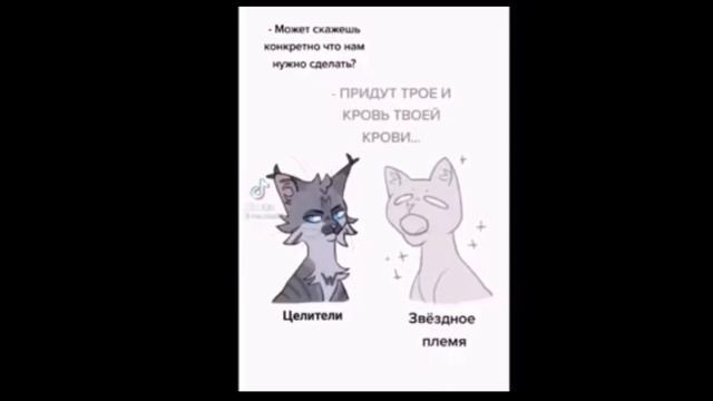КОТЫ ВОИТЕЛИ ПОДБОРКА ИЗ ТИКТОКА #1