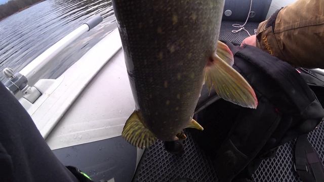 Ловля щуки на джиг! Рыбалка на спиннинг в конце сентября!