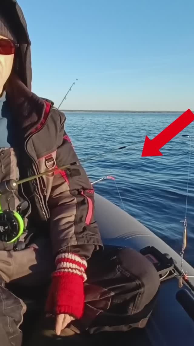 Берш чуть не утащил кивковую удочку пока рассказывал про безкивковую!