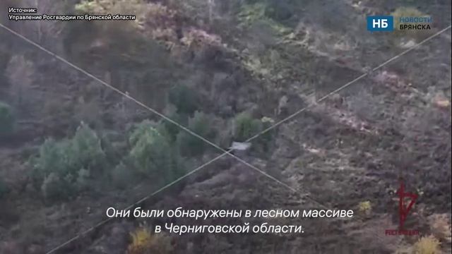 Спутниковый ретранслятор и опорный пункт ВСУ уничтожили близ брянской границы
