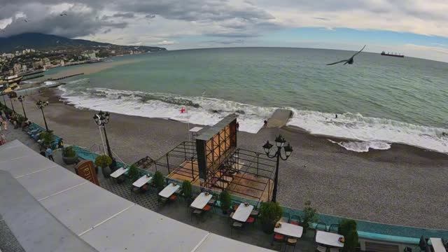 Море не радует. Машина в сервисе .Рыжик на моем месте.Ялта осенью.