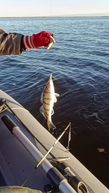 Влетел бонус под финал!