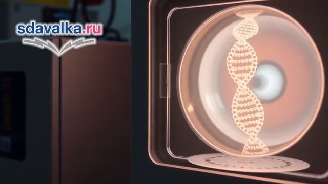 Биология 10 класс. Урок 7. Молекулярные основы наследственности. Бесплатная подготовка к ЕГЭ.