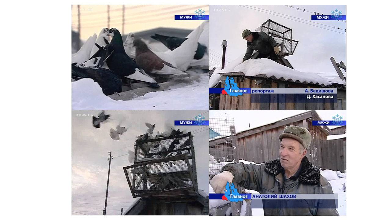 Фрагмент программы "Новости". Автор Александр Бедишов. 2008 г.