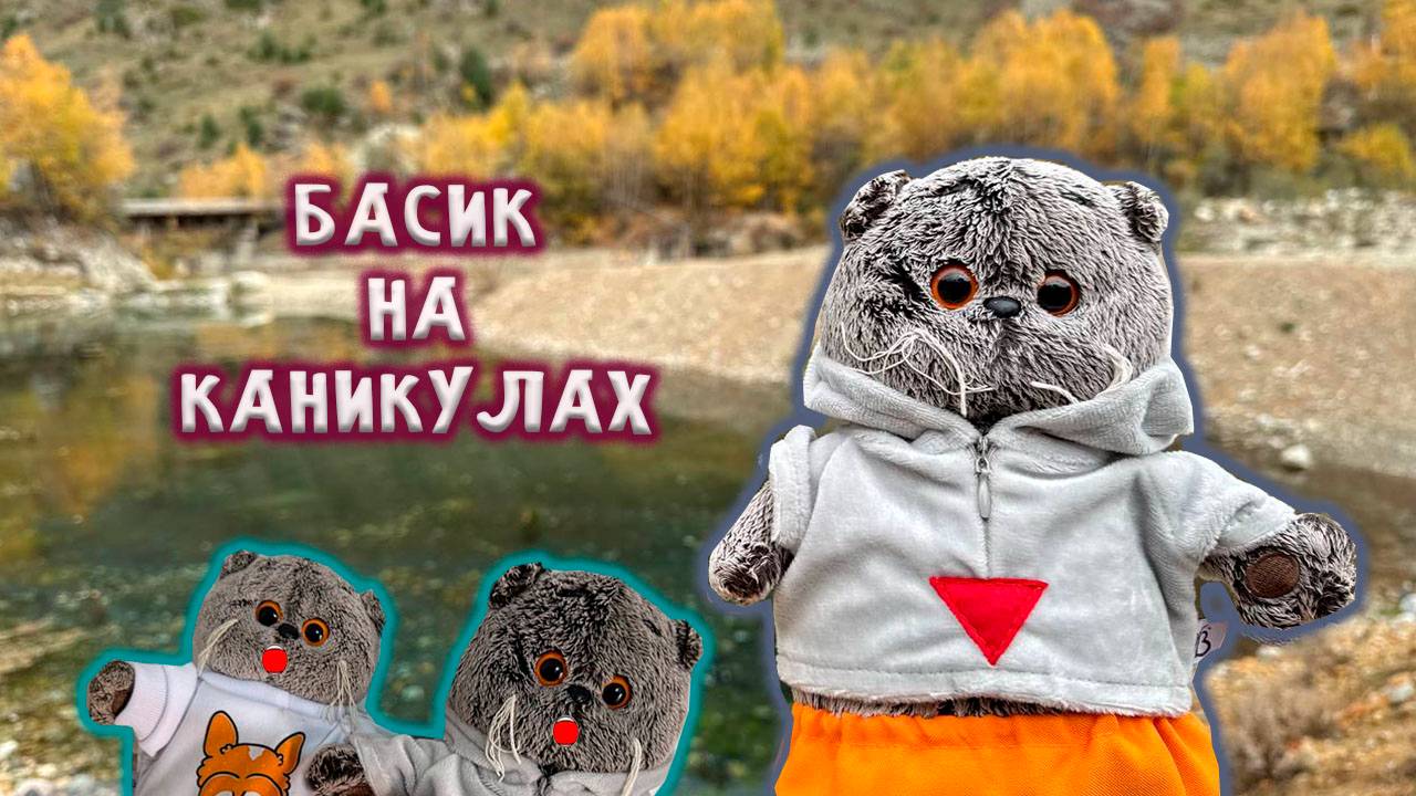 БАСИК НА КАНИКУЛАХ  🎃😻👀 КАК КОТИКИ БАСИКИ ПРОВОДЯТ ОСЕННИЕ КАНИКУЛЫ 😸😵🙀 ДЕНЬ С БАСИКОМ