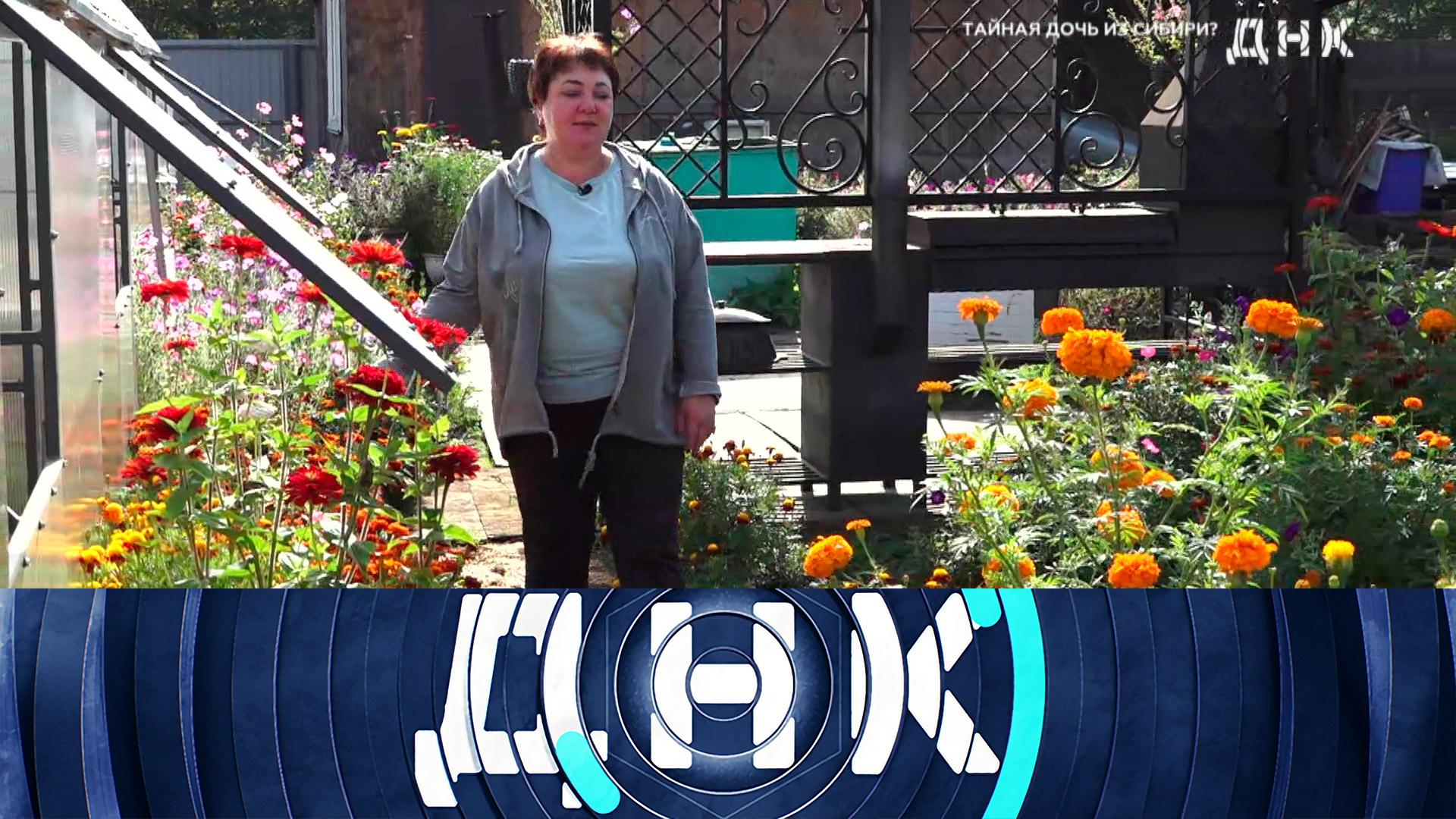 «ДНК»: «Тайная дочь из Сибири?» | Выпуск от 30 октября 2025 года