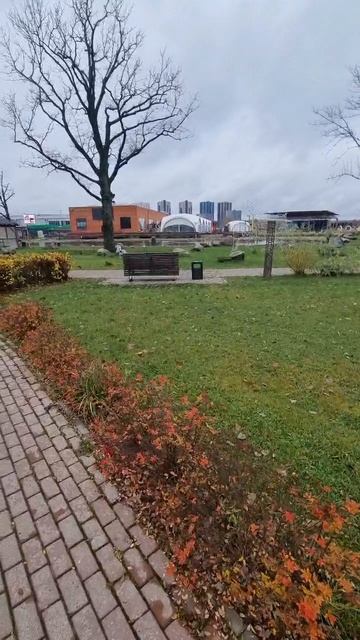 Гуляем в парке Лукоморье в Сходне, парк ухоженный, есть пруд с утками и сцена