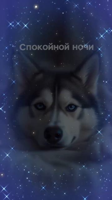 Спокойной ночи от наших друзей меньших 💖👍#спокойнойночи