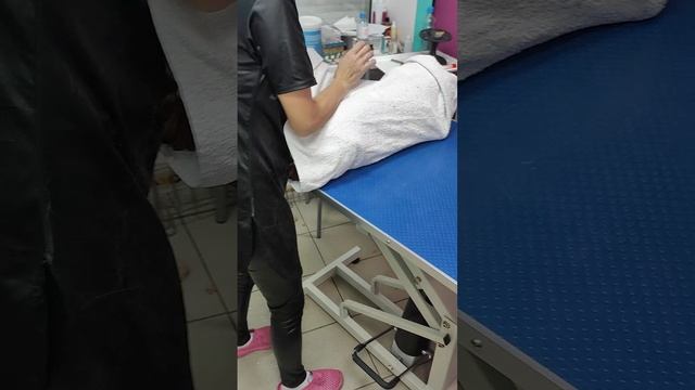 Тот самый груминг, о котором все спрашивали! Раскрываю секрет успеха 😼