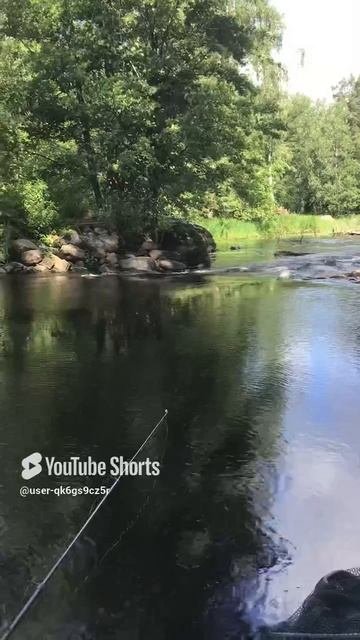 Ленинградская область. Хвойное. 10.07.2024. Вуокса, обмелевший малый порог. Видео пейзаж