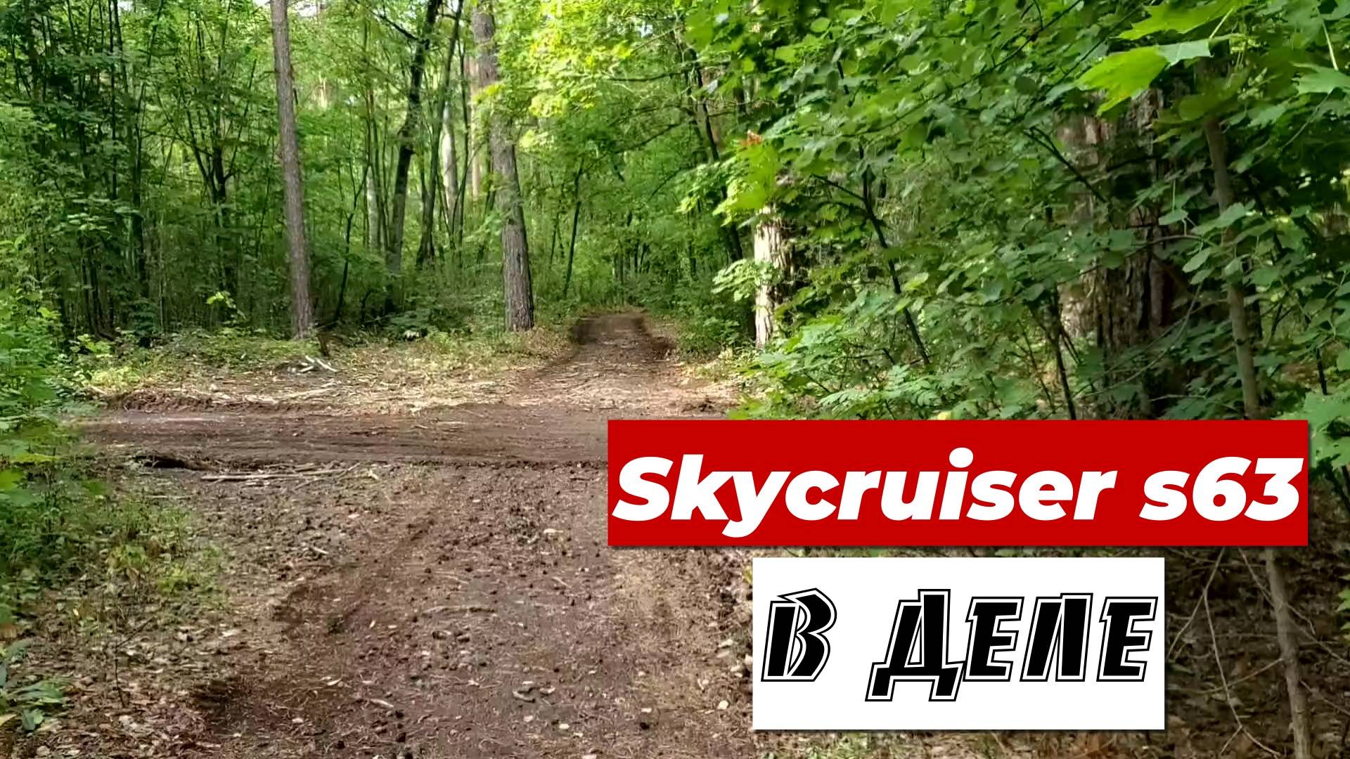 КОП в ЛЕСУ с металлоискателем Skycruiser s63.