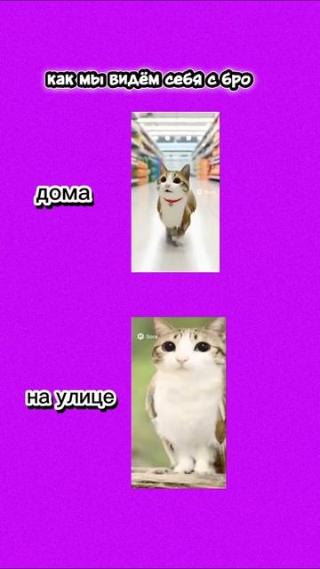 видео с матами❗детям малышам не смотреть!