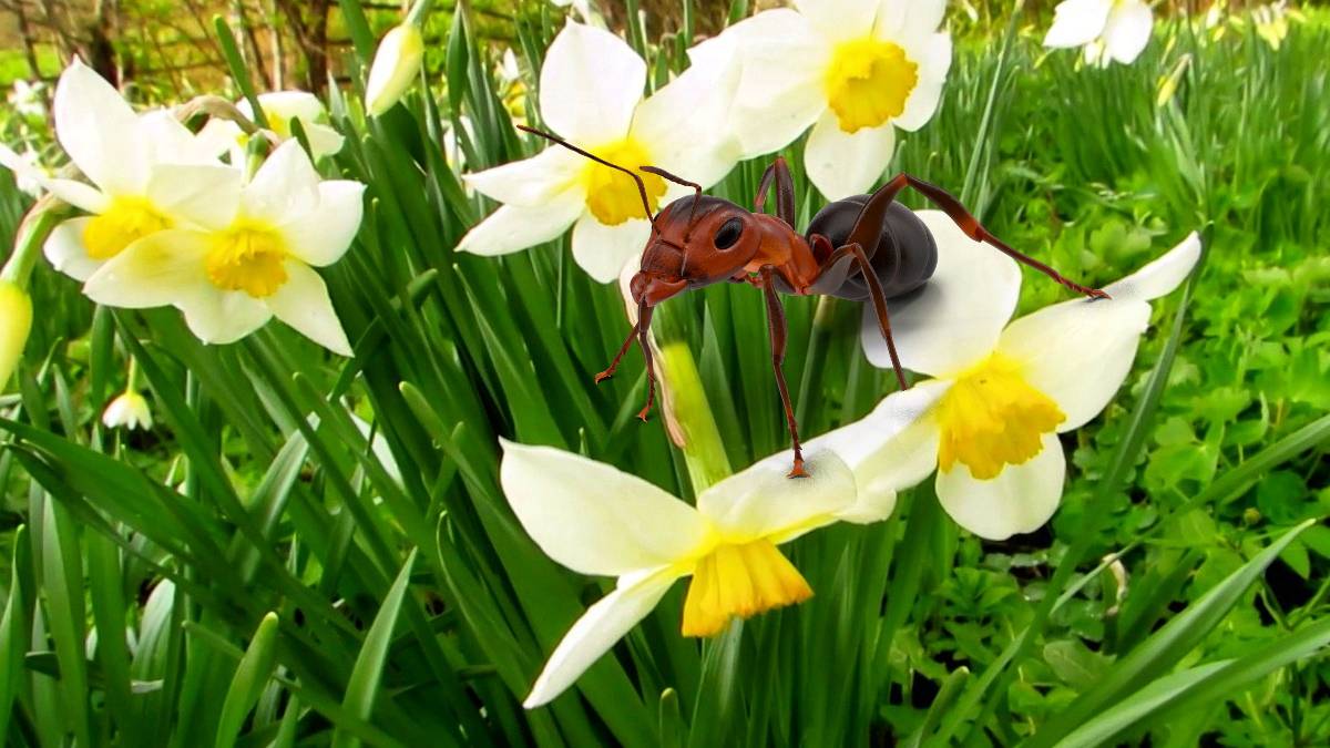 Желтое с белым в моде