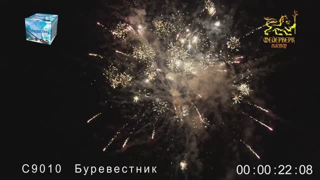 С9010 Буревестник