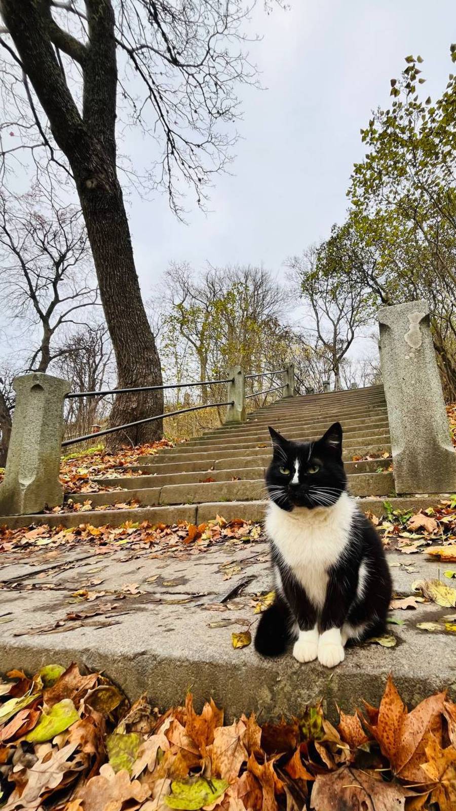 ЦИТАТЫ О ЛЮБВИ |ПРП ПОРФИРИЙ КАВСОКАЛИВИТ #вечная_любовь #вечнаялюбовь #цитаты_о_любви #цитатыолюбви