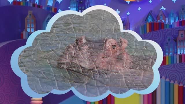 ✨Спокойной ночи, малыши✨190/2025 Посоревнуюсь с бегемотом