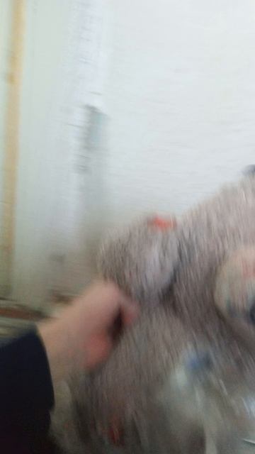 ХЕЛЛОУИНСКИЙ ЛЕЩ ОТ ЗАЙЦЫ! #schoolboy #скулбой #скулбойраневей