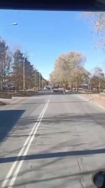 🍂 🍁 Уходящий октябрь , а за по воротом уже ноябрь 🤪