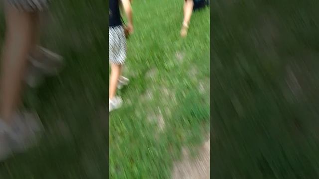 🦮🦮🦮🦮🦮🦮