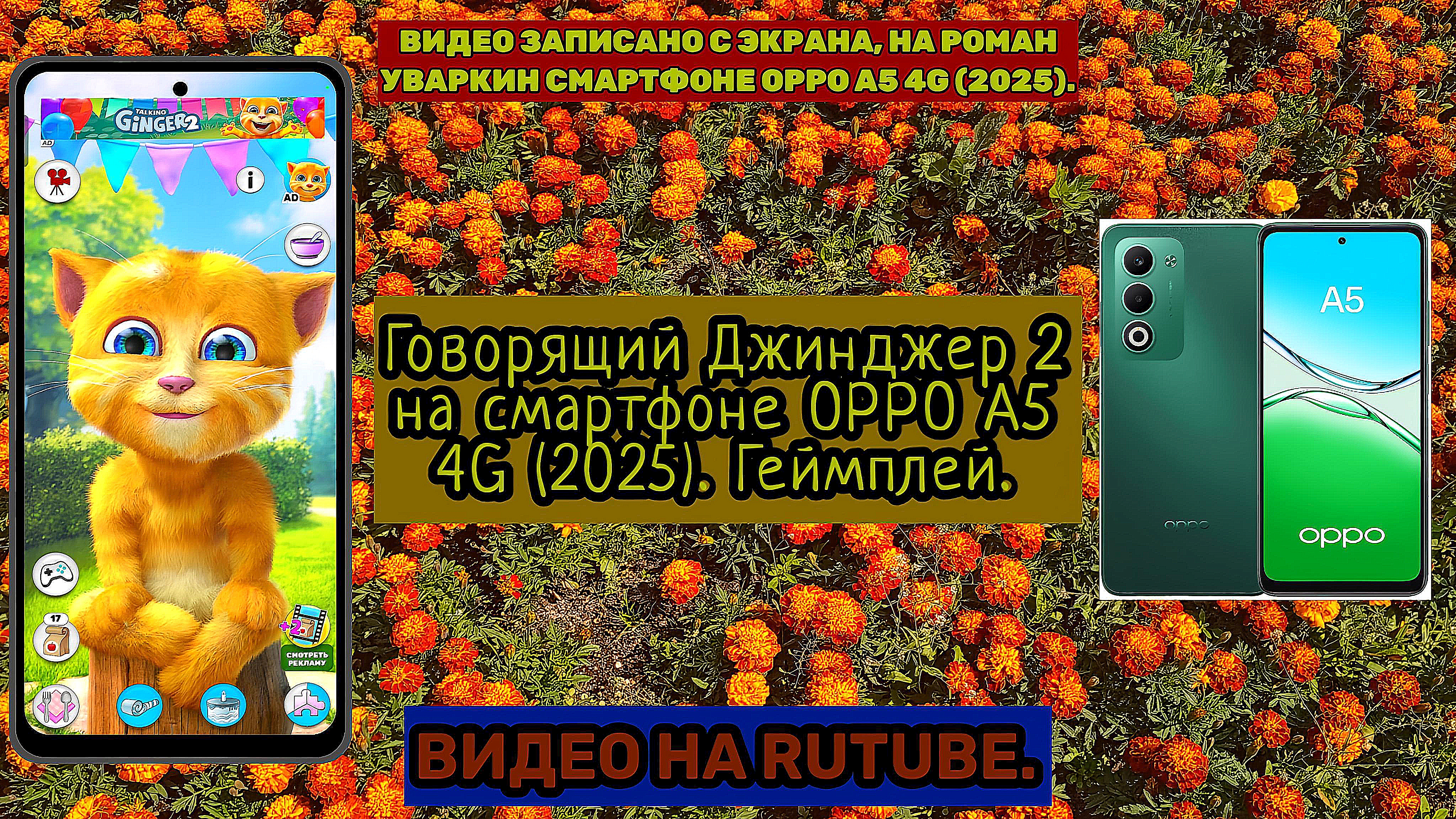 Говорящий Джинджер 2 на смартфоне OPPO A5 4G (2025). Геймплей. Сорри за высокого резкости видео!