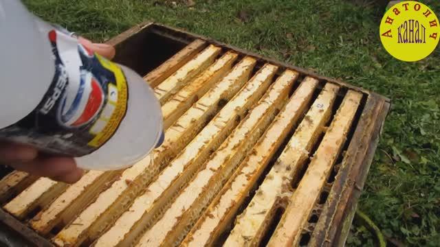 Примитивная обработка пчёл бипином